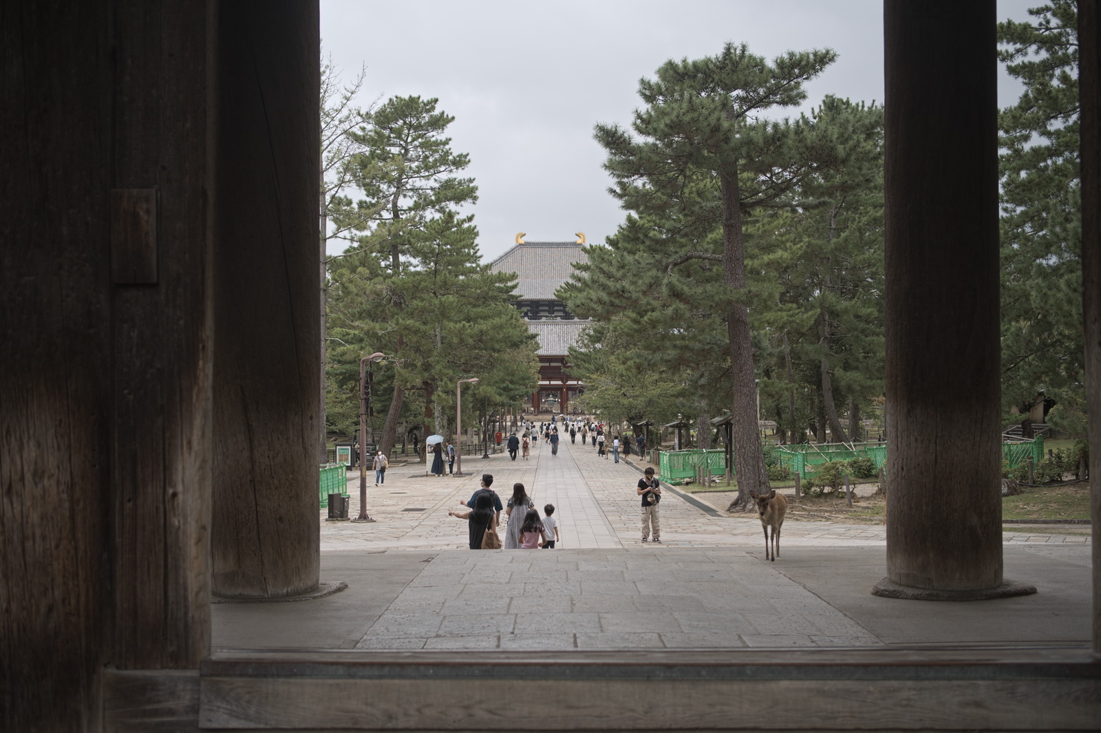 Nara Park Temples and Shrines - Adventures in Retirement