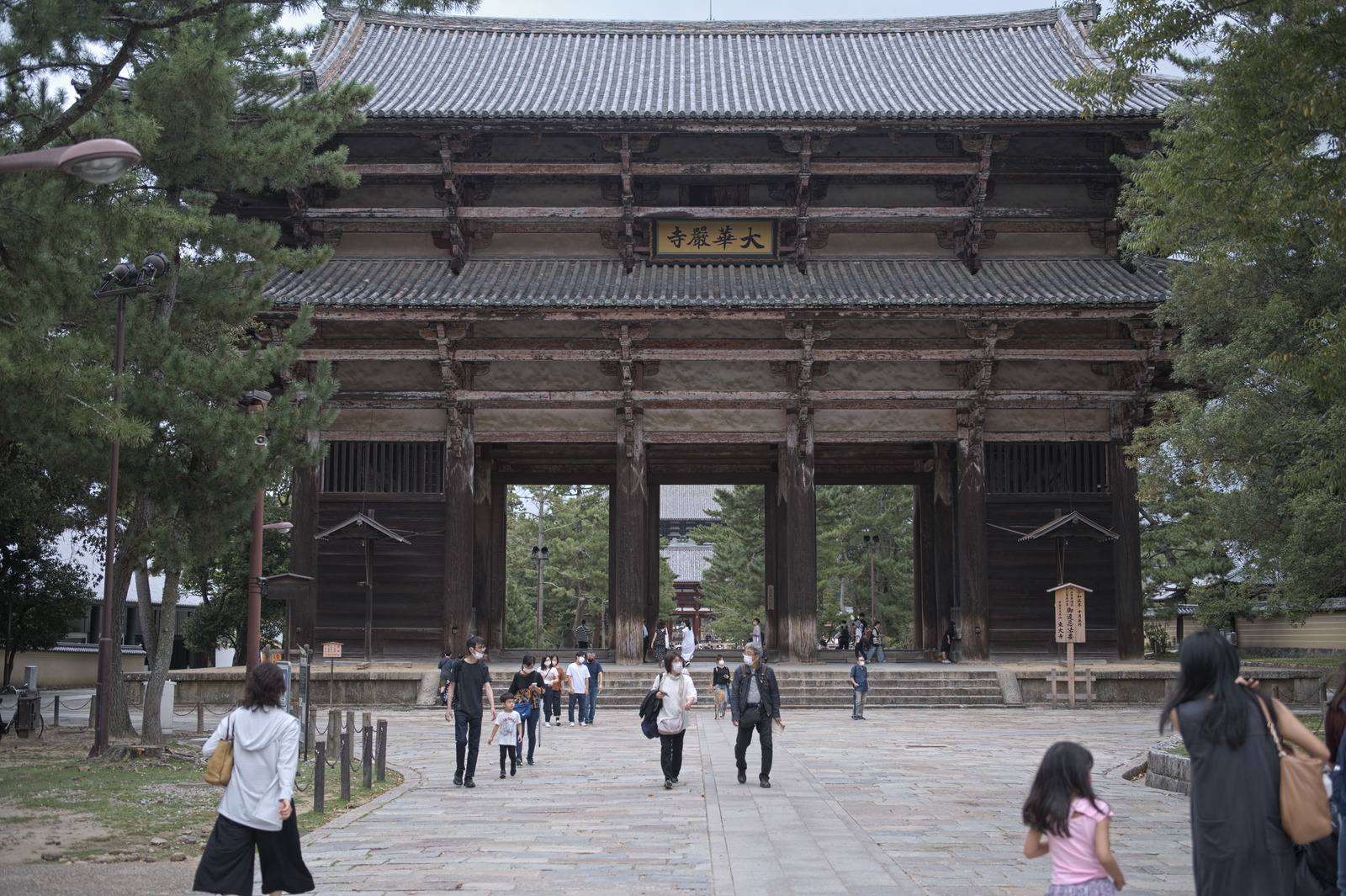 Nara Park Temples and Shrines - Adventures in Retirement